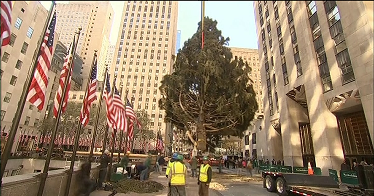 Rockefeller Center Christmas tree arrives in NYC