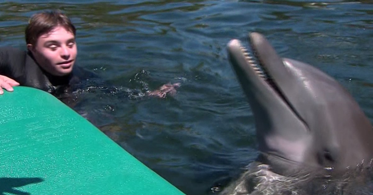 Doctors perform breakthrough dolphin surgery