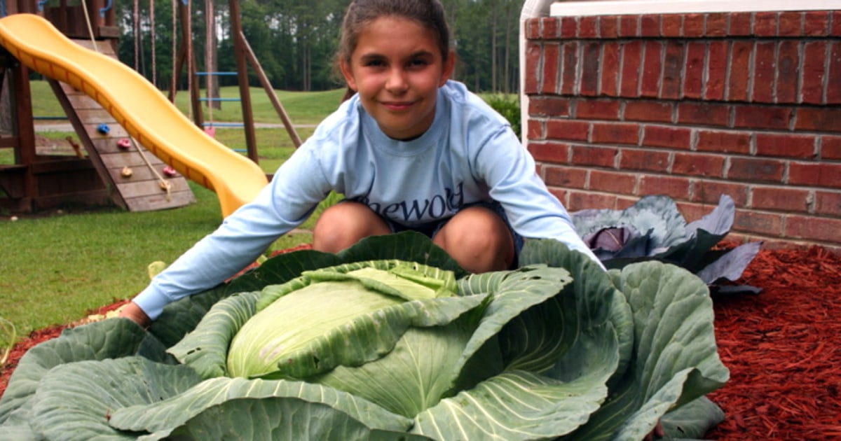 One Girl’s Mission to Fight Hunger Now Six Years Strong