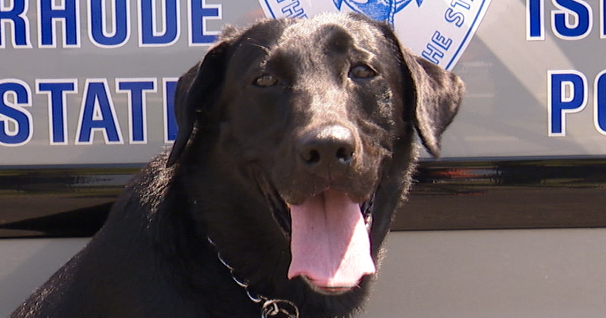 Earl the dog and one trooper’s ‘bittersweet’ decision