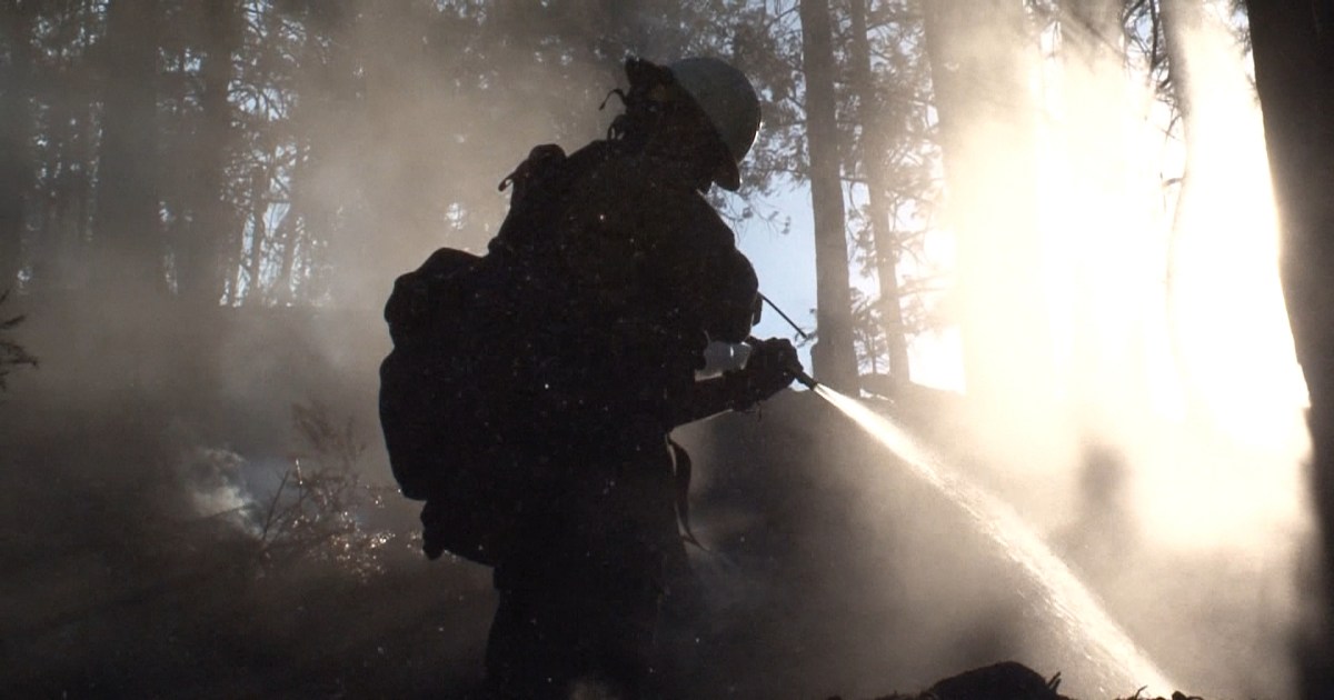 Fighting Fire: Why They Do It