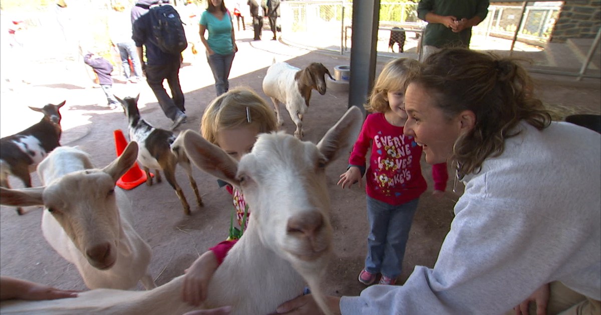 KidsZooU hoping for a 'great environment for all kids'