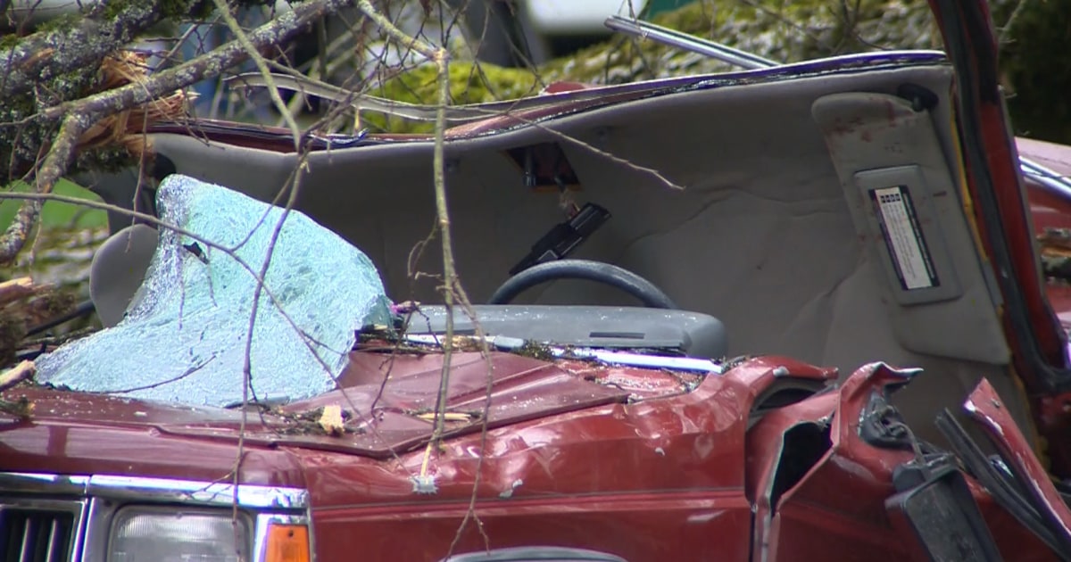 Woman's Narrow Escape as Car Crushed by Falling Tree