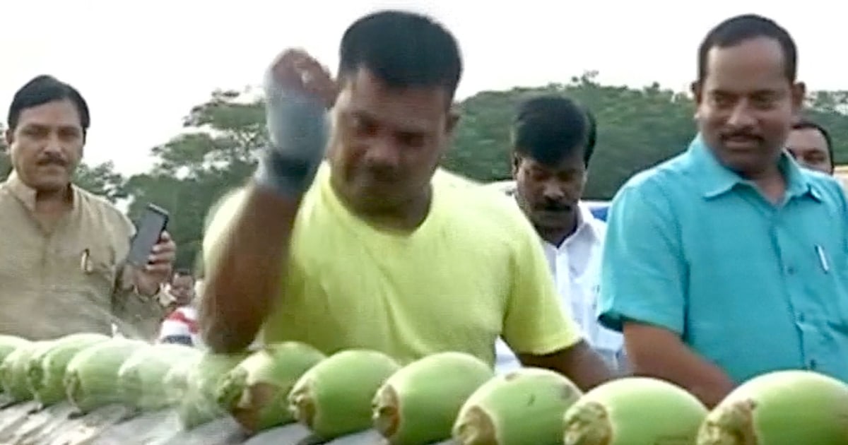 Man Takes a Crack at Setting New Record for Breaking Coconuts
