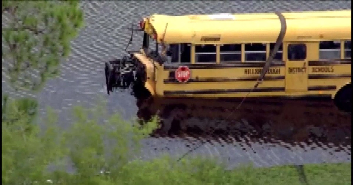 Rescuers Described as Heroes After School Bus Crashes Into Pond