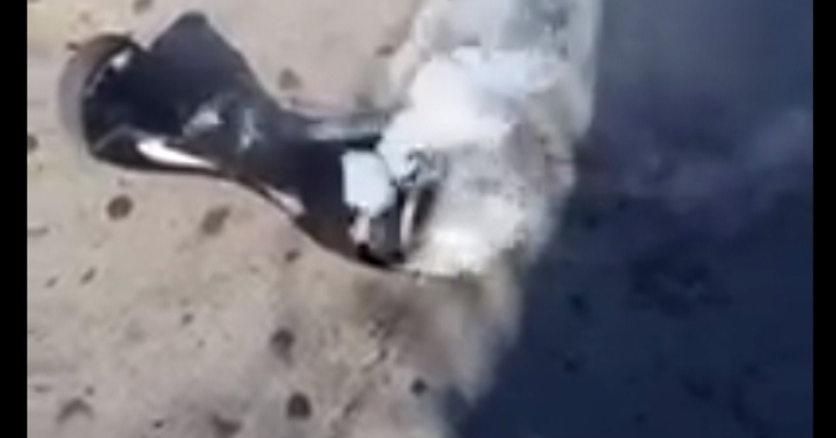 See the Moment a Hoverboard Bursts Into Flames