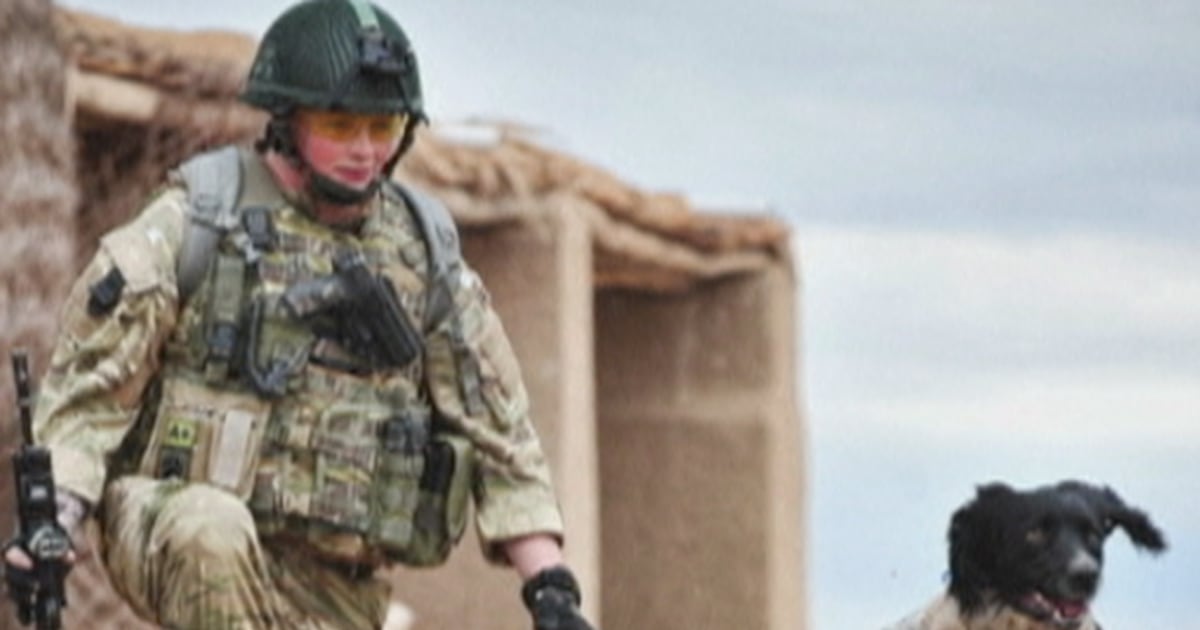 British army dog awarded medal