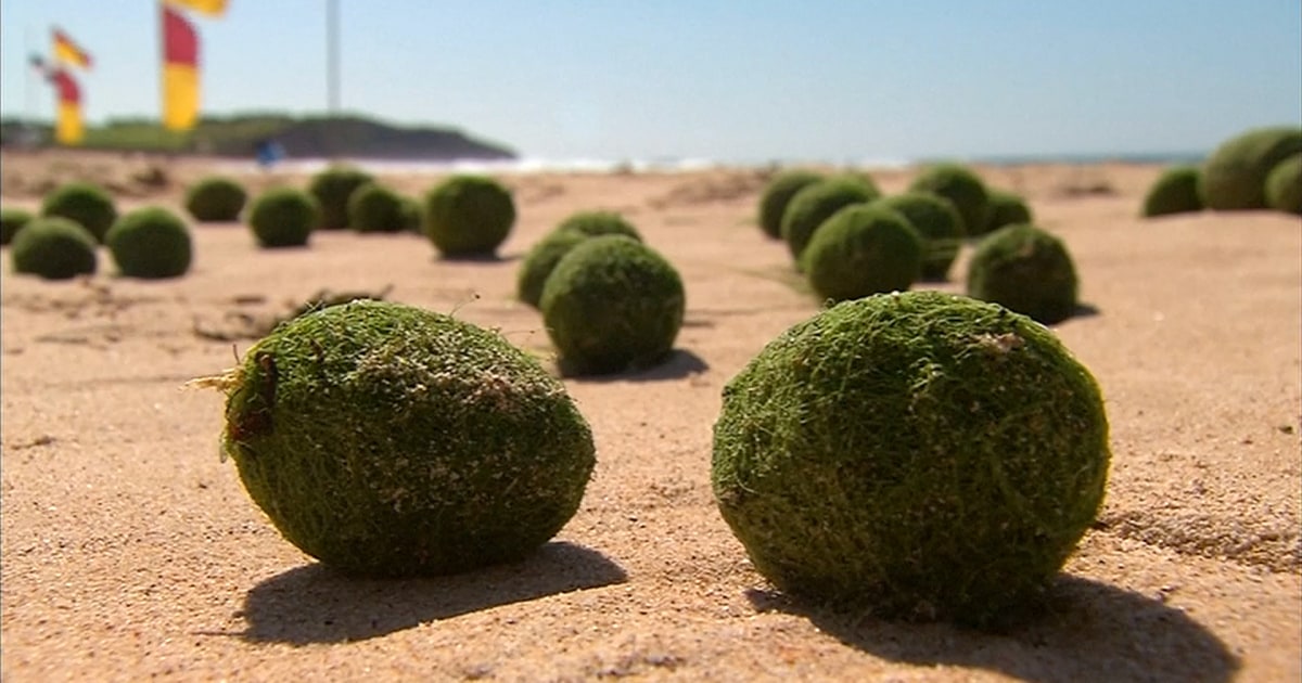 Mysterious Green Balls Wash Up on Australian Beach