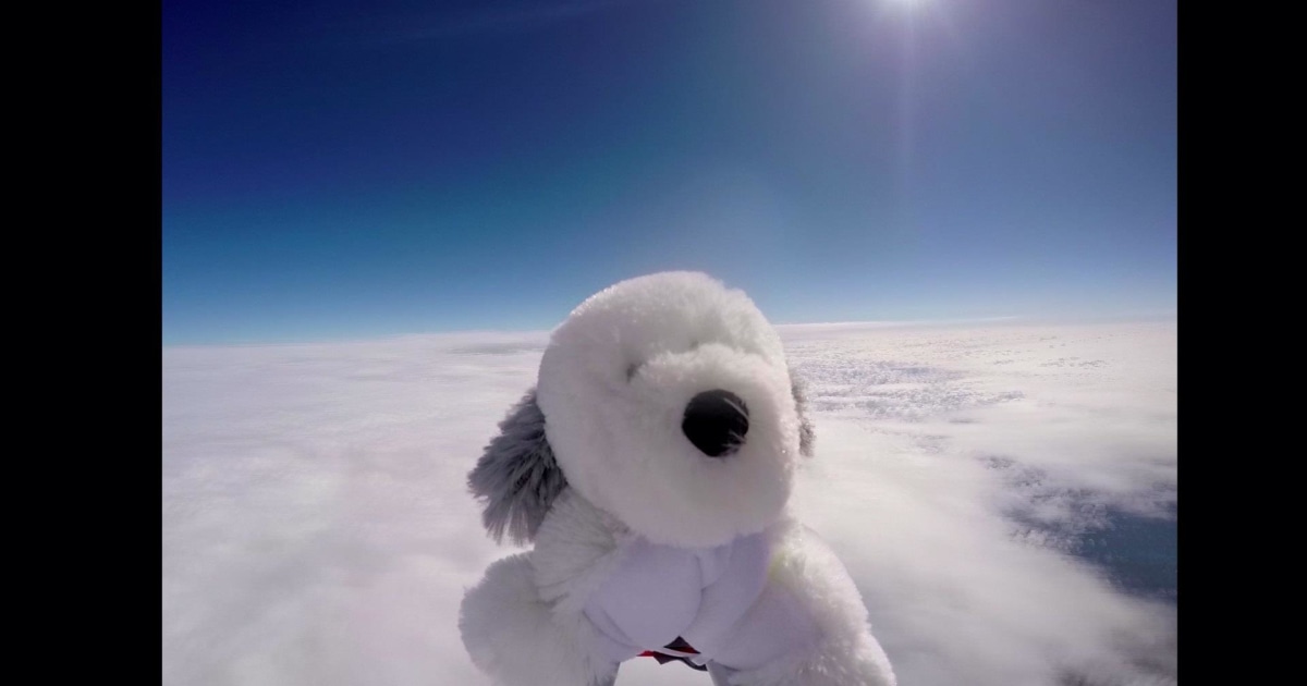 Watch Sam the Dog’s Journey to Edge of Space