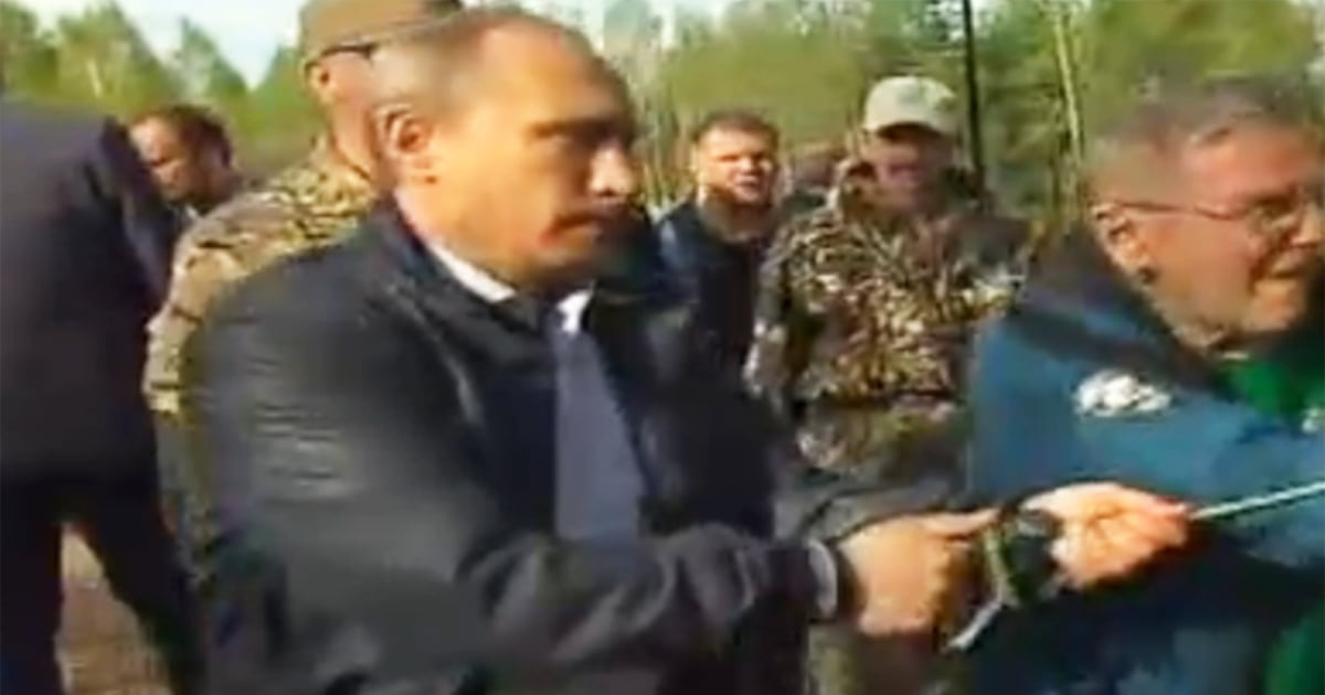 Putin releases tigers into the wild