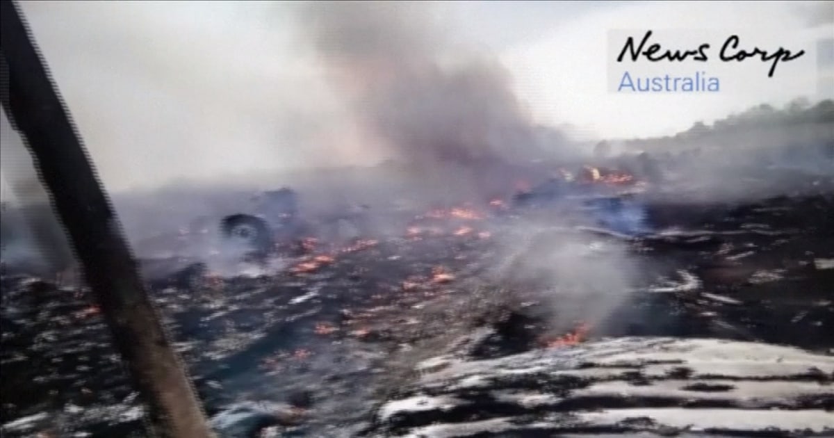 Video Shows Immediate Aftermath of MH17 Crash