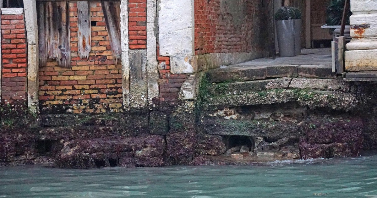 Freak Low Water Levels in Venice, Italy, Cause Problems