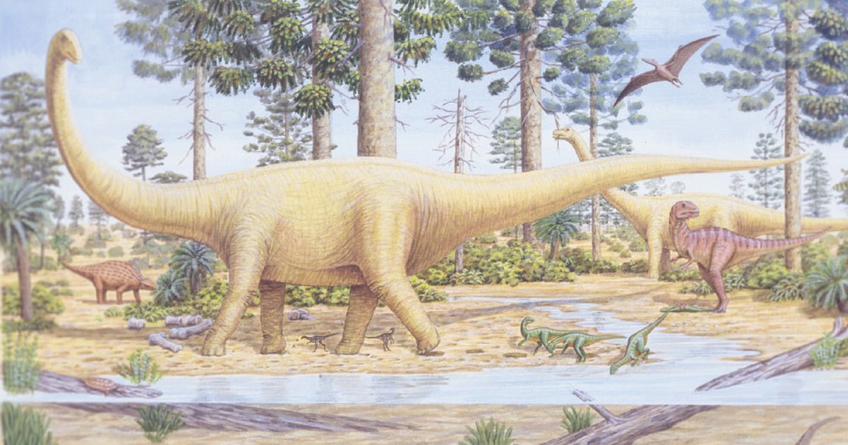 New species helps explain dinos’ iconic look