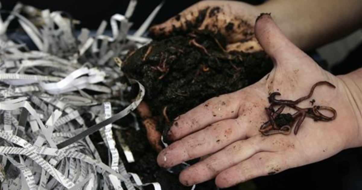 In California, working worms join the office