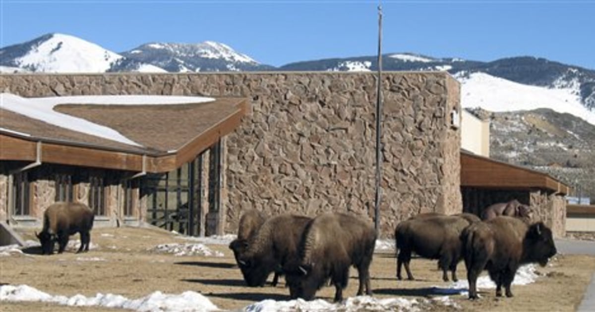 Ted Turner's bison offer has caveat