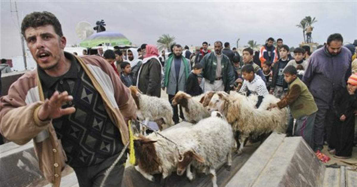 In Gaza, a rush for food, TVs and sheep
