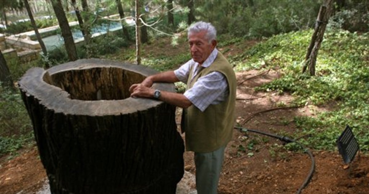 Holocaust memorial honors tree that saved Jew