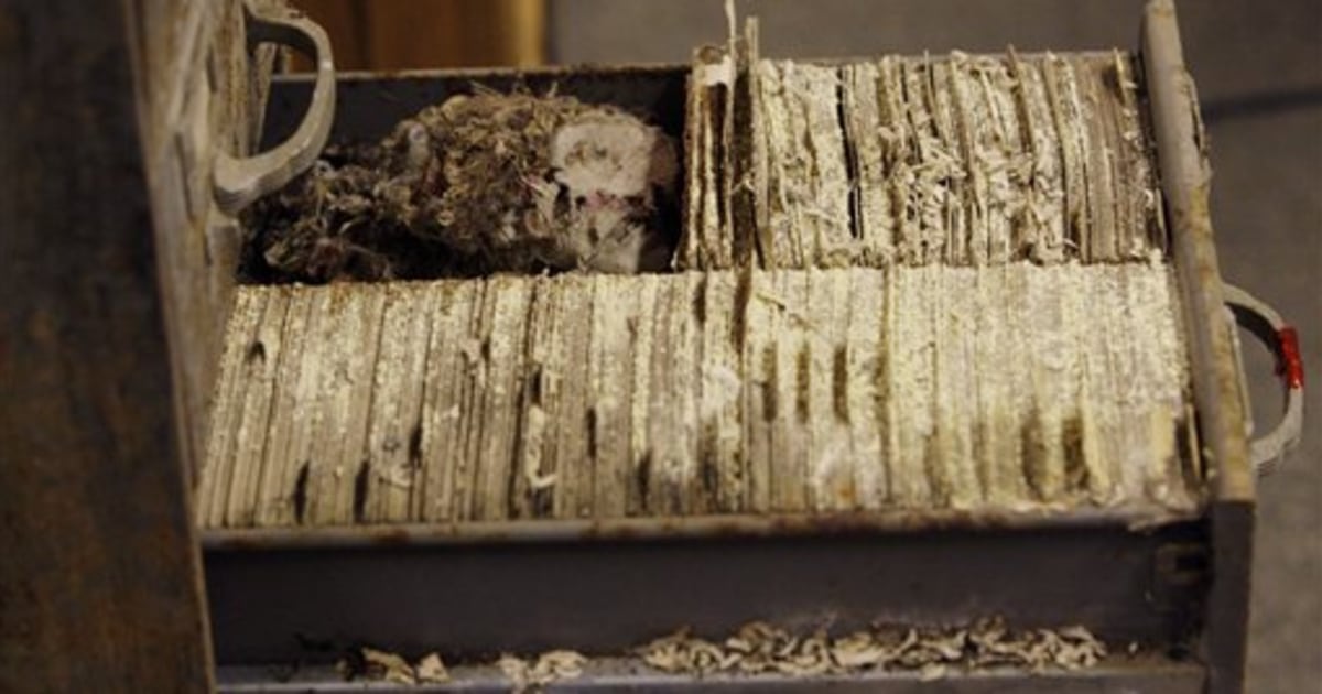 Ill. cemetery's jumbled bones will be hard to ID