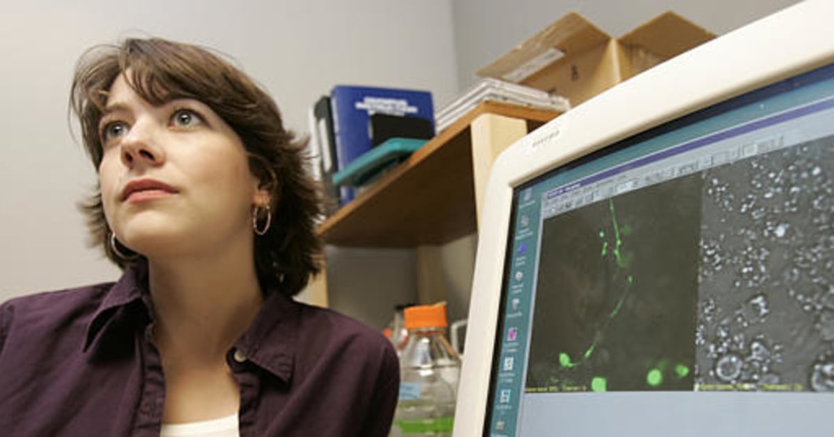 Student infects real worm with real virus