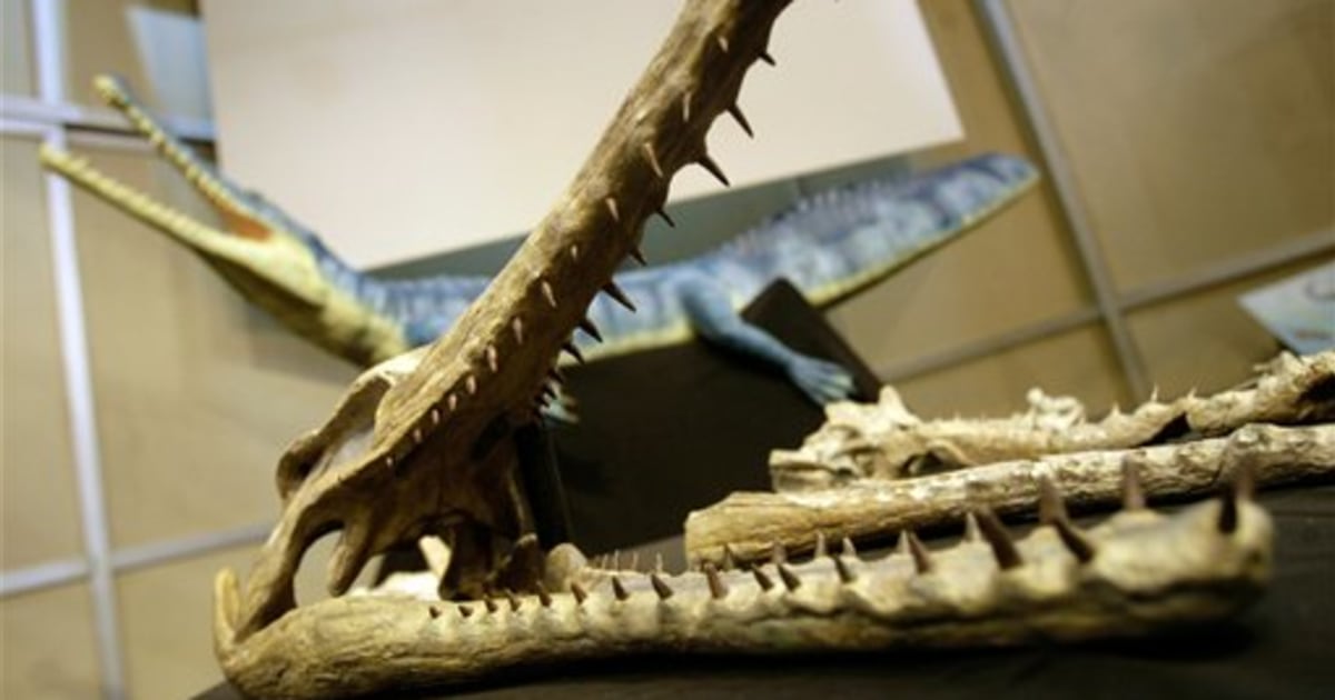 Scientists unveil prehistoric crocodile