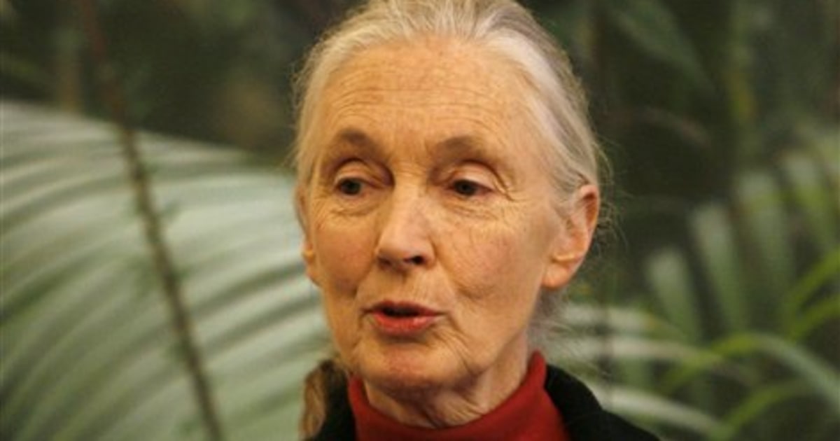 Goodall's revolutionary research still inspires