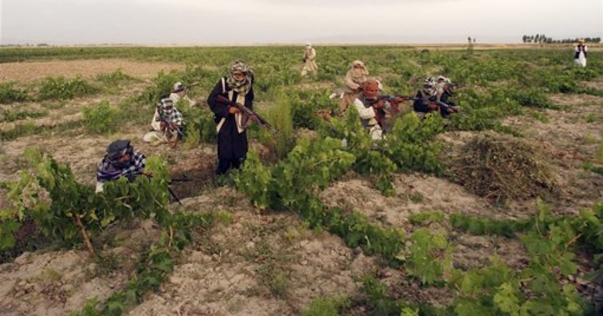 Taliban resurgence seen in spread of 'courts'