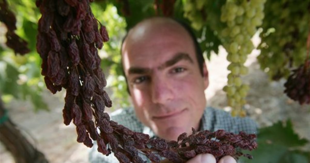 Ever heard of raisin tasting?