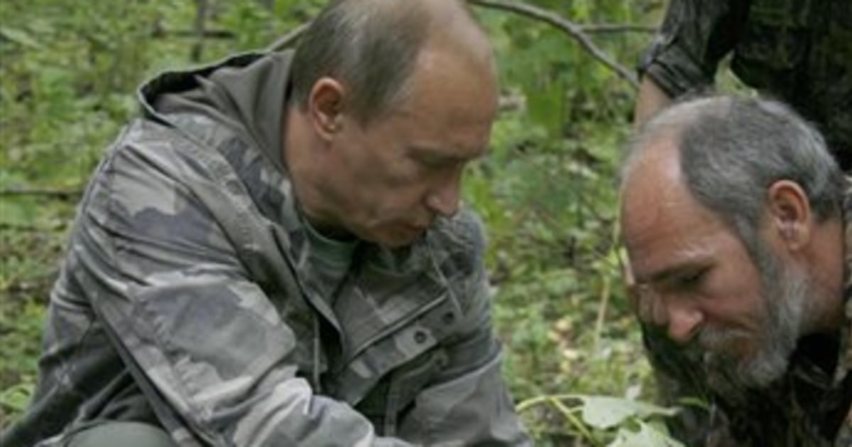 Putin's rare Siberian tiger is 'alive and well'