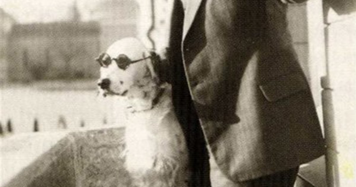 'Heil Rover!' Hitler-imitating dog enraged Nazis