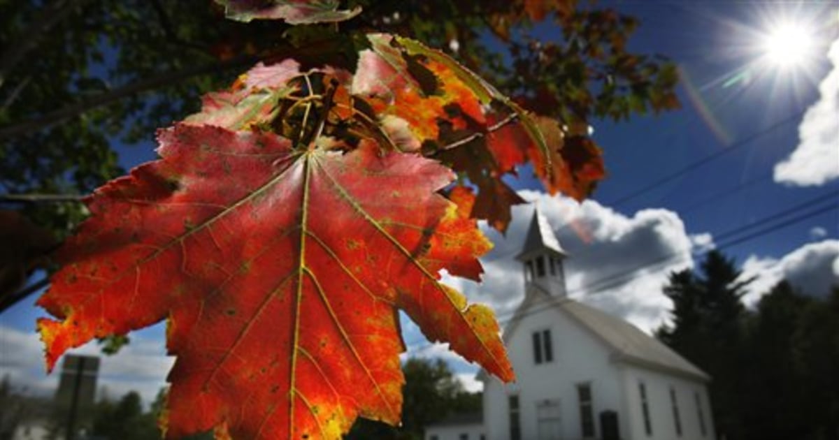 Official 'leaf peepers' forecast fall foliage