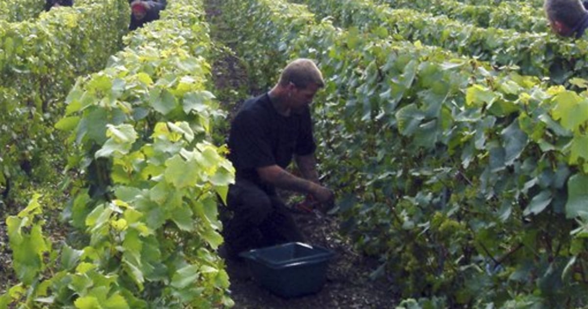 French wine and spirits exports in record drop