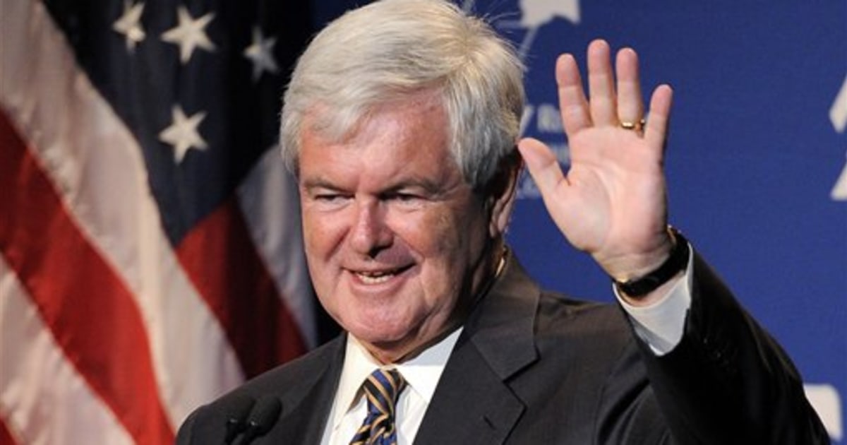 Newt Gingrich: 'I will endure the challenges'