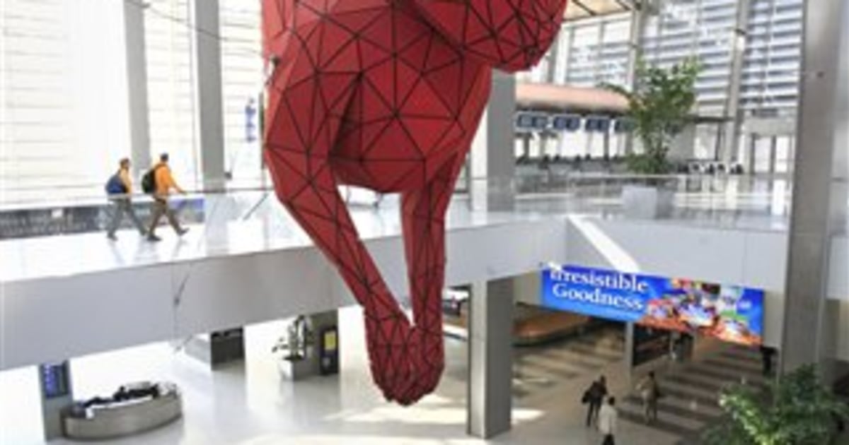 In Sacramento, a bunny hop to luggage and buzz