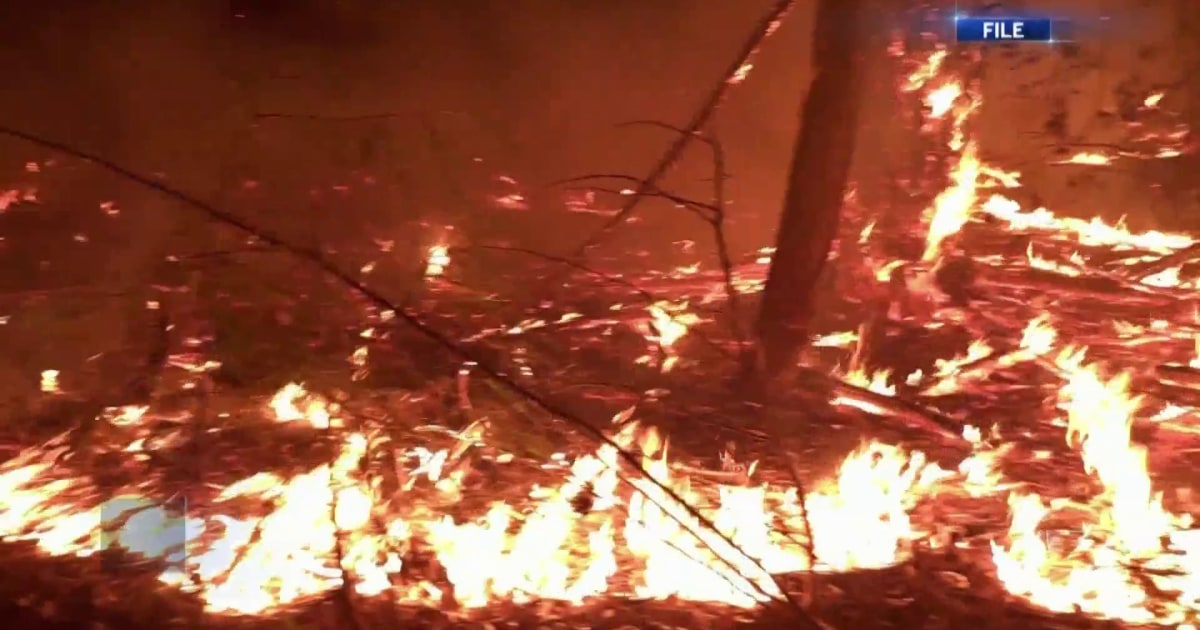California wildfires threaten iconic redwood trees