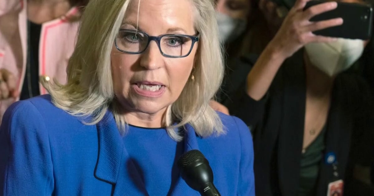 Republicans weigh in on Cheney and the future of the GOP