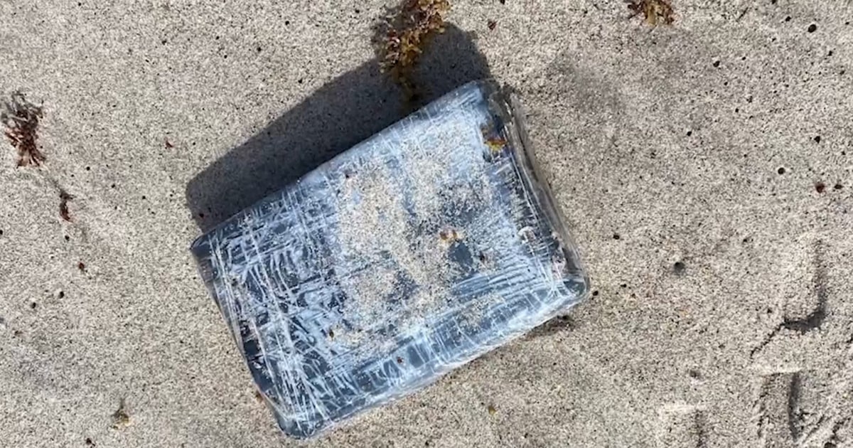 Turtle nest surveyor finds $1.2 million worth of cocaine on Florida beach