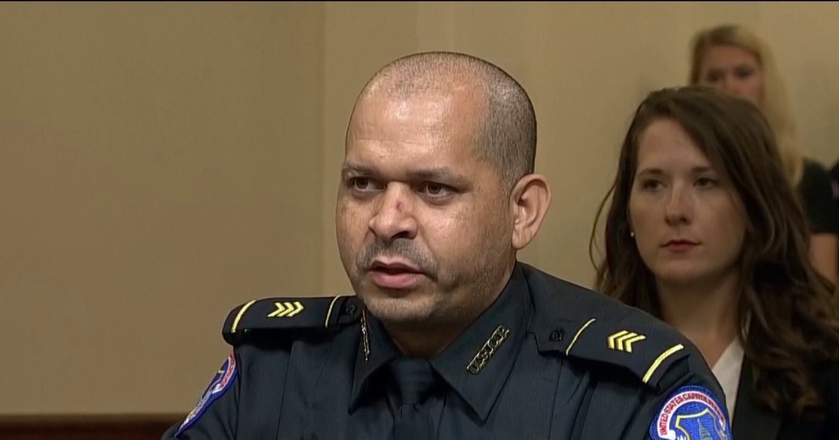 Officer Gonell criticizes how Trump characterized Capitol rioters