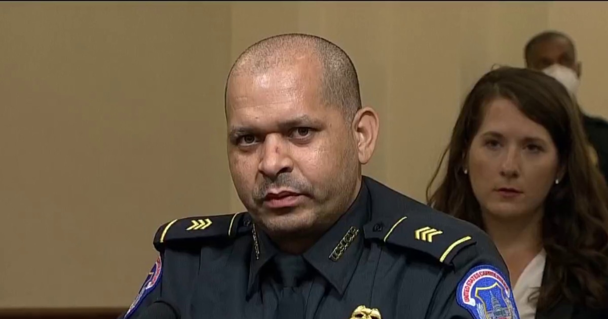 Sgt. Gonell characterizes Capitol riot as an 'attempted coup'