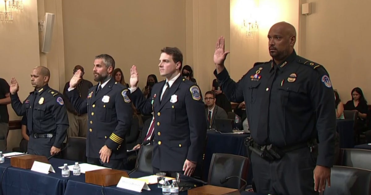Capitol police officer suggests 'hitman' Trump started Jan 6th MAGA ...