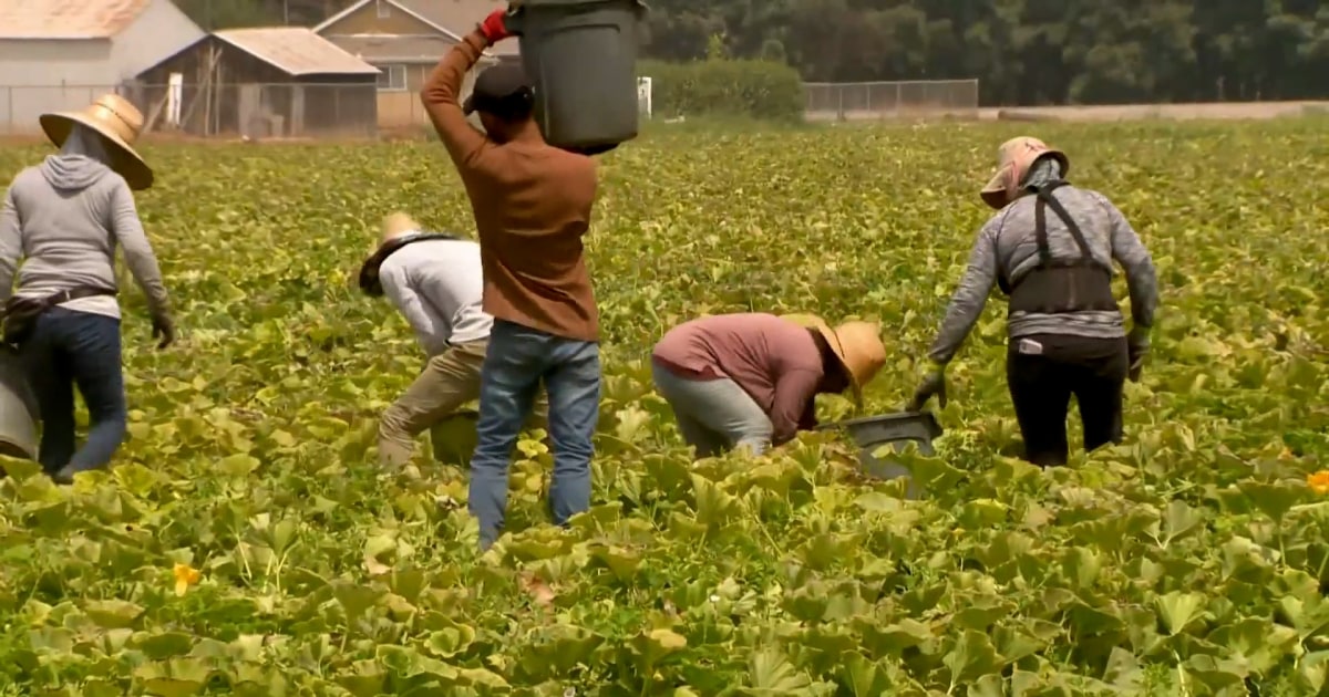 How California’s extreme heat impacts farmworkers
