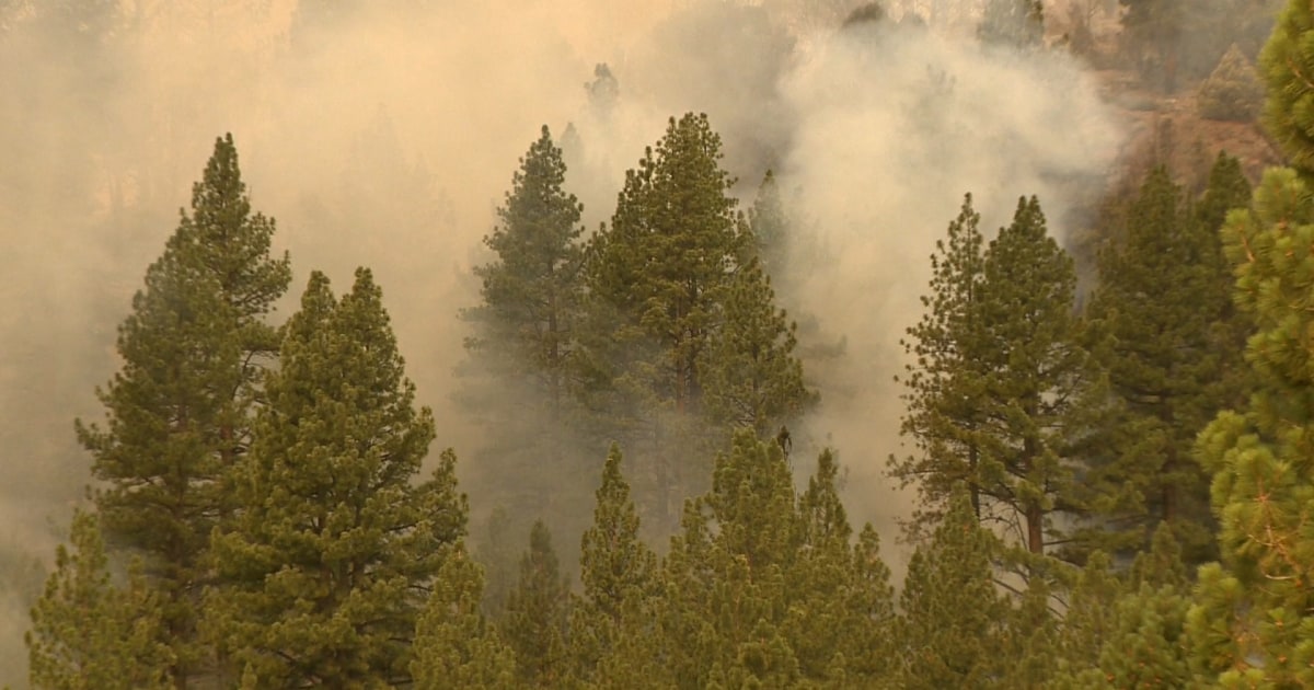 Tamarack Fire: California fire forces multiple evacuations