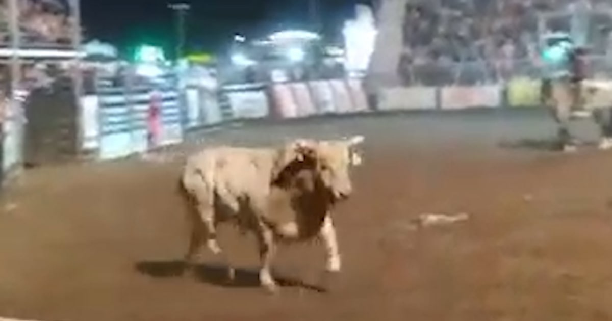 Bull charges Idaho audience at ‘That Famous Preston Night Rodeo’