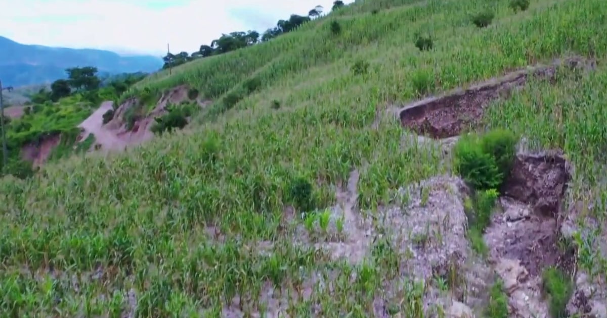 Climate change ravaging crops in Guatemala, leaving millions on brink ...