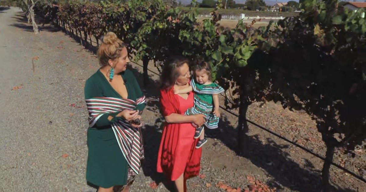 Vineyard owners honor legacy of relatives who laid the foundation for ...