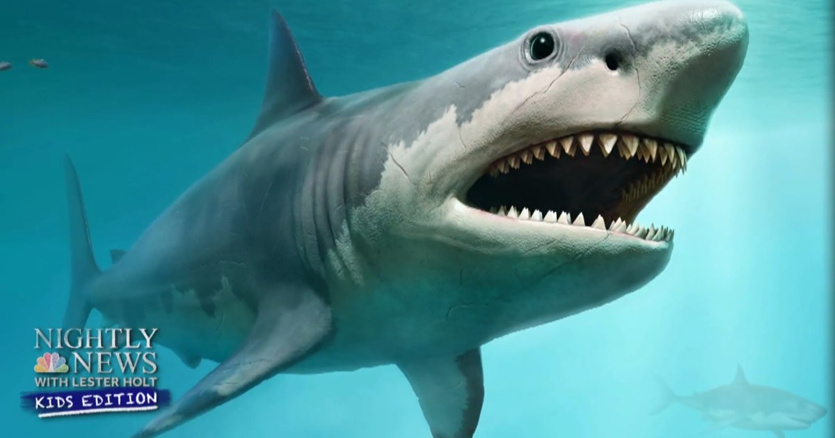 Inside the 'shark tooth capital of the world' (Part 1)