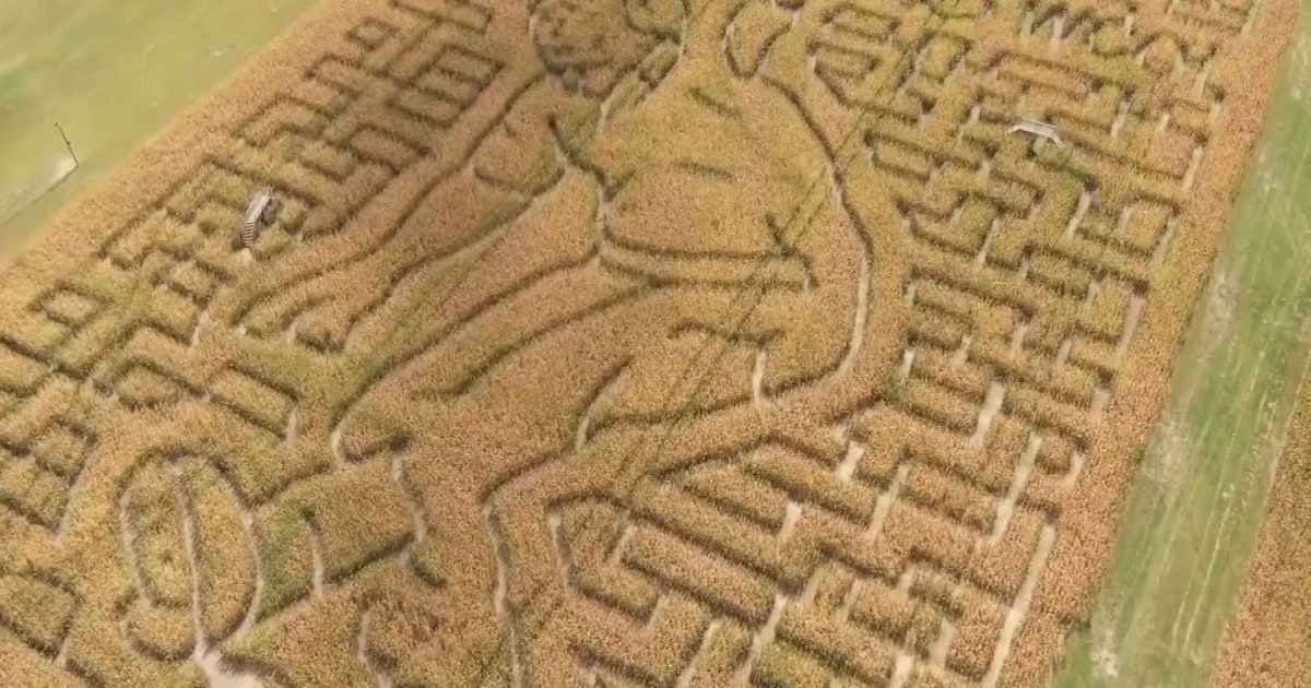 Ohio corn maze designed in shape of golf icon Jack Nicklaus