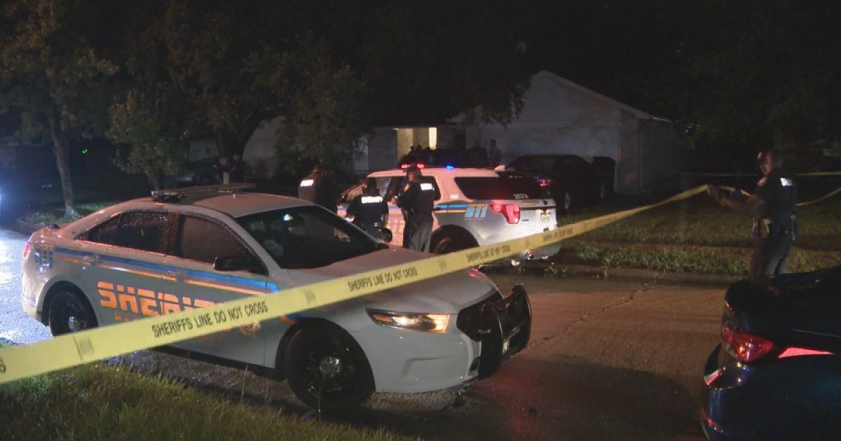 Texas teen detained after his twin sister's fatal stabbing