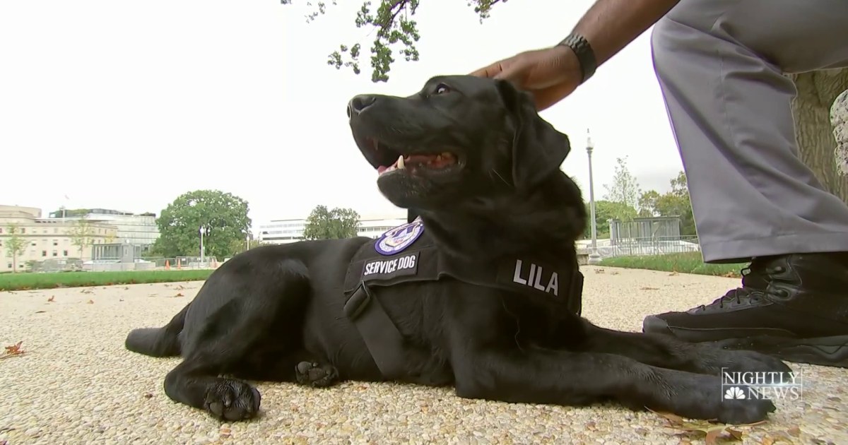 Capitol Police adds emotional support dog, prioritizing officers ...