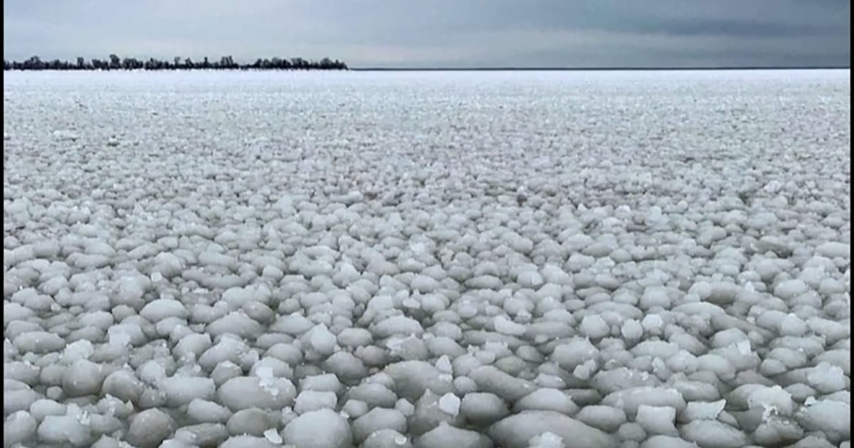 Canada's Lake Manitoba covered in ball-shaped ice