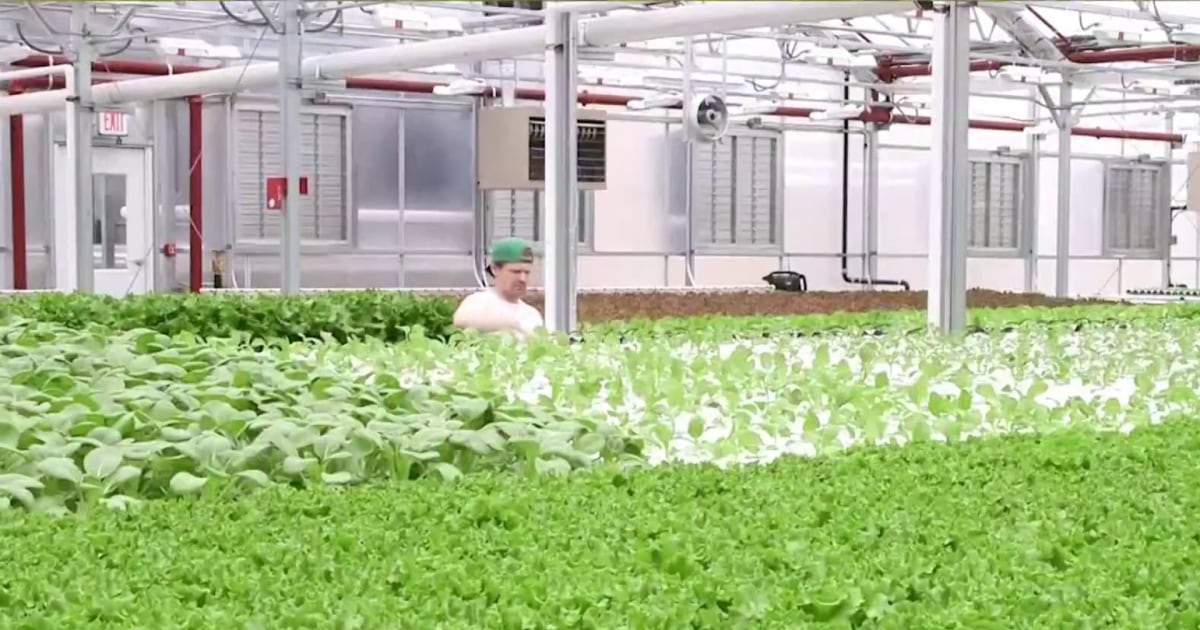 First underground farm to launch in 2022 could be industry game-changer